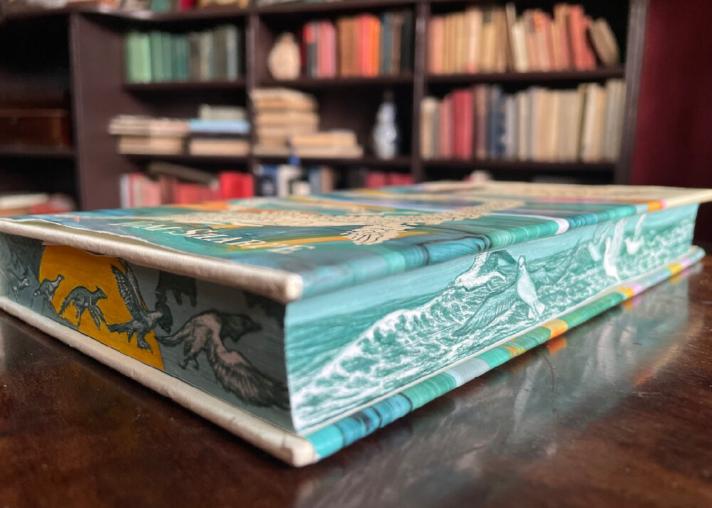 Edge of Expression | Mary Anning Rocks